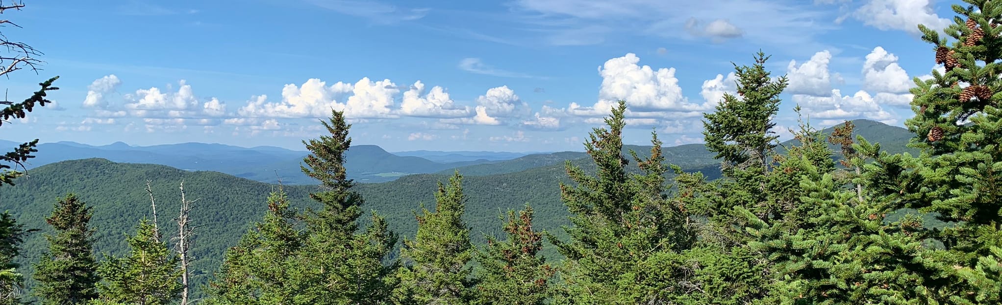Stowe Pinnacle Trail, Vermont - 2,195 Reviews, Map | AllTrails