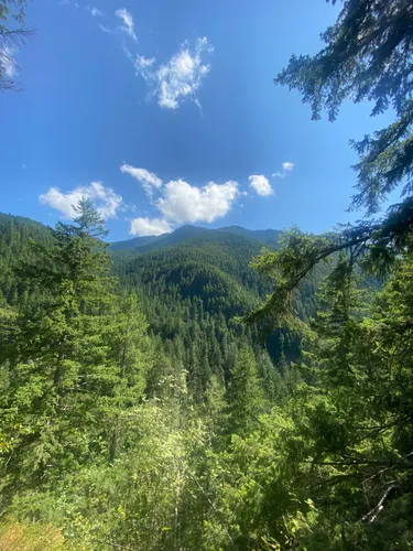 10 Best Trails and Hikes in Sequim | AllTrails