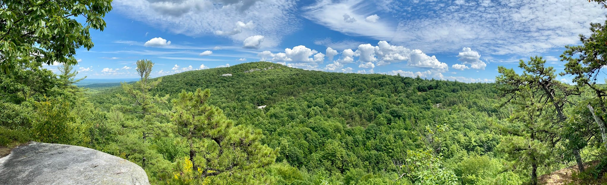 Bull Wheel to High Peter's Kill Trail: 876 Reviews, Map - New York ...