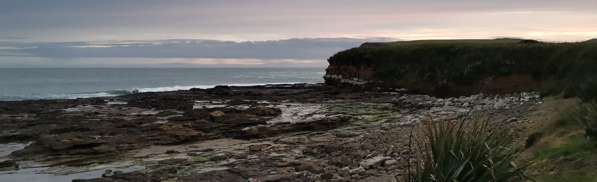 Curio Bay: Penguin Walk and Petrified Forest: 21 Reviews, Map ...