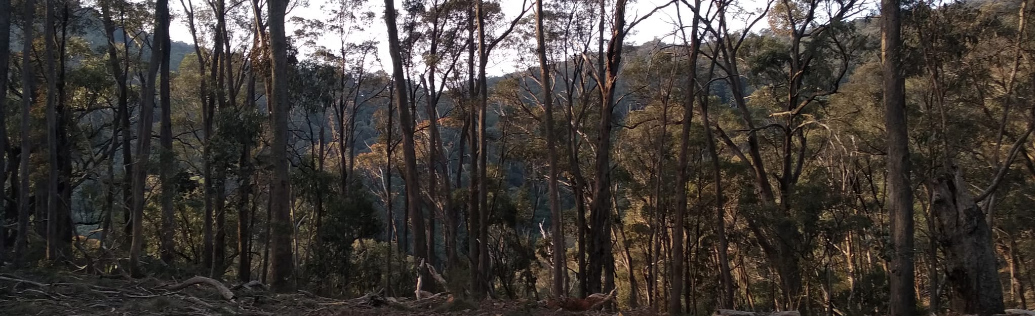 Mount Strathbogie via Glen Creek Gap Road, Victoria, Australia - Map ...