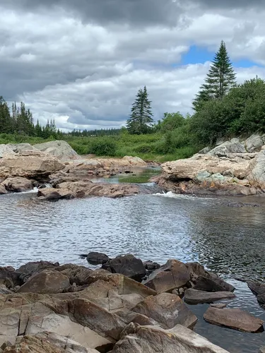 2023 Best River Trails in Pocologan | AllTrails