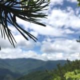 Fork Ridge Trail to Tennent Mountain, North Carolina - 40 Reviews, Map ...