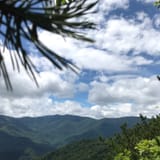 Fork Ridge Trail to Tennent Mountain, North Carolina - 40 Reviews, Map ...