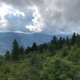 Fork Ridge Trail to Tennent Mountain, North Carolina - 38 Reviews, Map ...