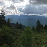 Fork Ridge Trail to Tennent Mountain, North Carolina - 38 Reviews, Map ...