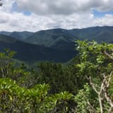 Fork Ridge Trail to Tennent Mountain, North Carolina - 40 Reviews, Map ...
