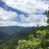 Fork Ridge Trail to Tennent Mountain, North Carolina - 38 Reviews, Map ...