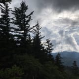 Fork Ridge Trail to Tennent Mountain, North Carolina - 39 Reviews, Map ...