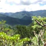 Fork Ridge Trail to Tennent Mountain, North Carolina - 40 Reviews, Map ...