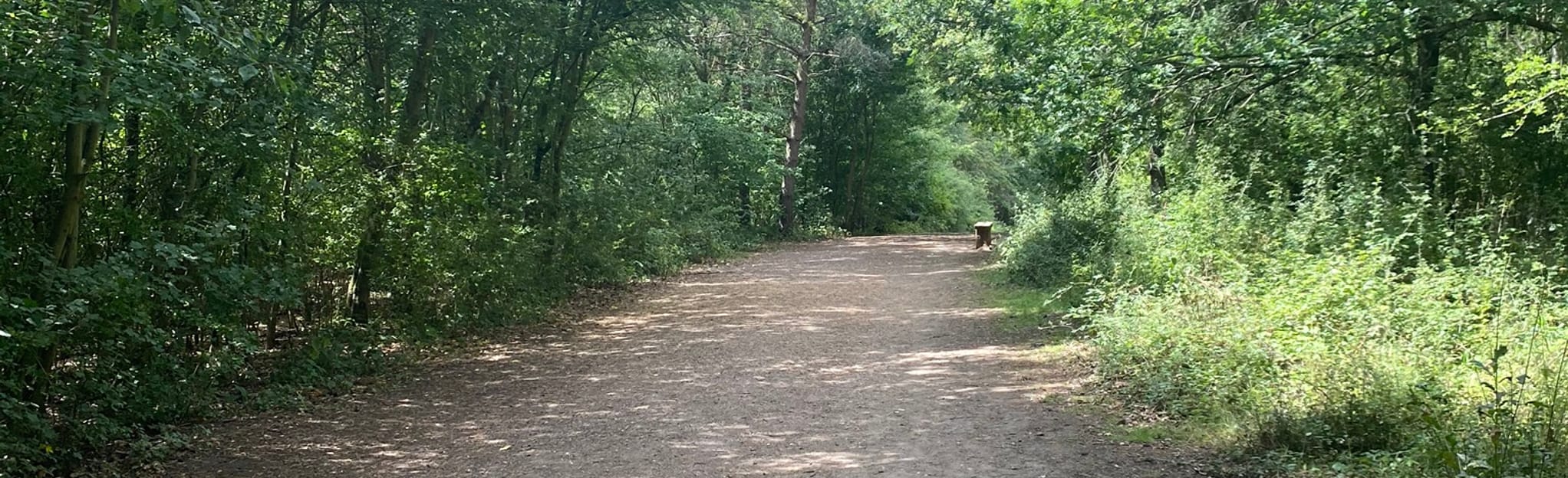 High Woods Country Park Circular: 7 Reviews, Map - Essex, England ...