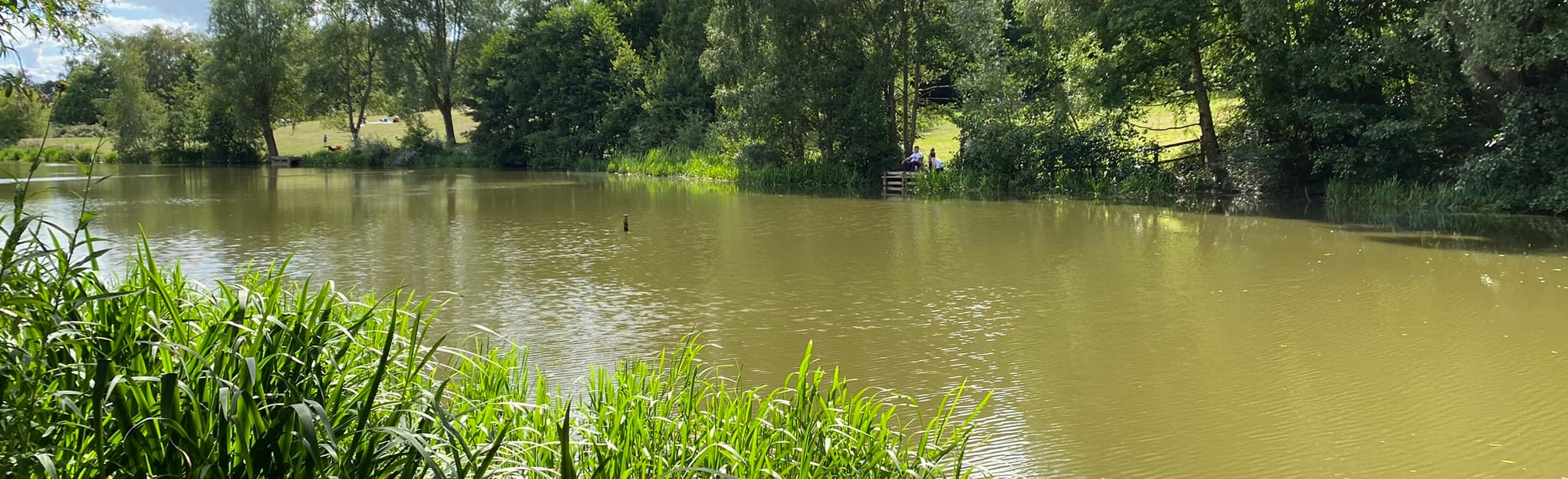 Highwoods Country Park Circular: 50 Fotos - Essex, England | AllTrails