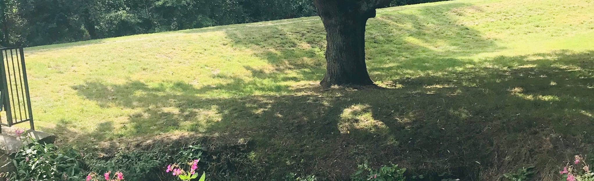 Yeading Brook Meadows Circular: 47 foto - London, Inghilterra | AllTrails