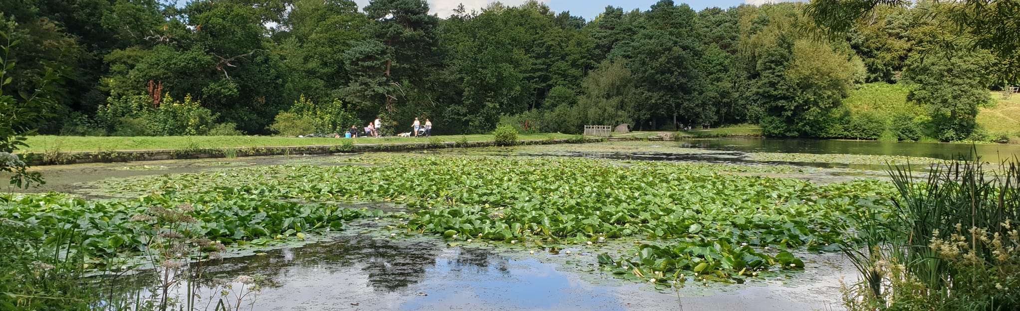 Huthwaite, Hardwick Park and Silver Hill Circular: 5 Reviews, Map ...