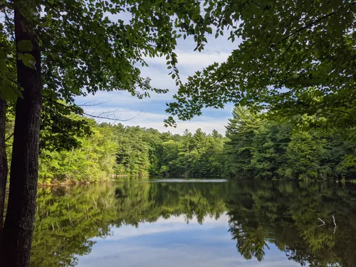 2023 Best Forest Trails in Holden | AllTrails