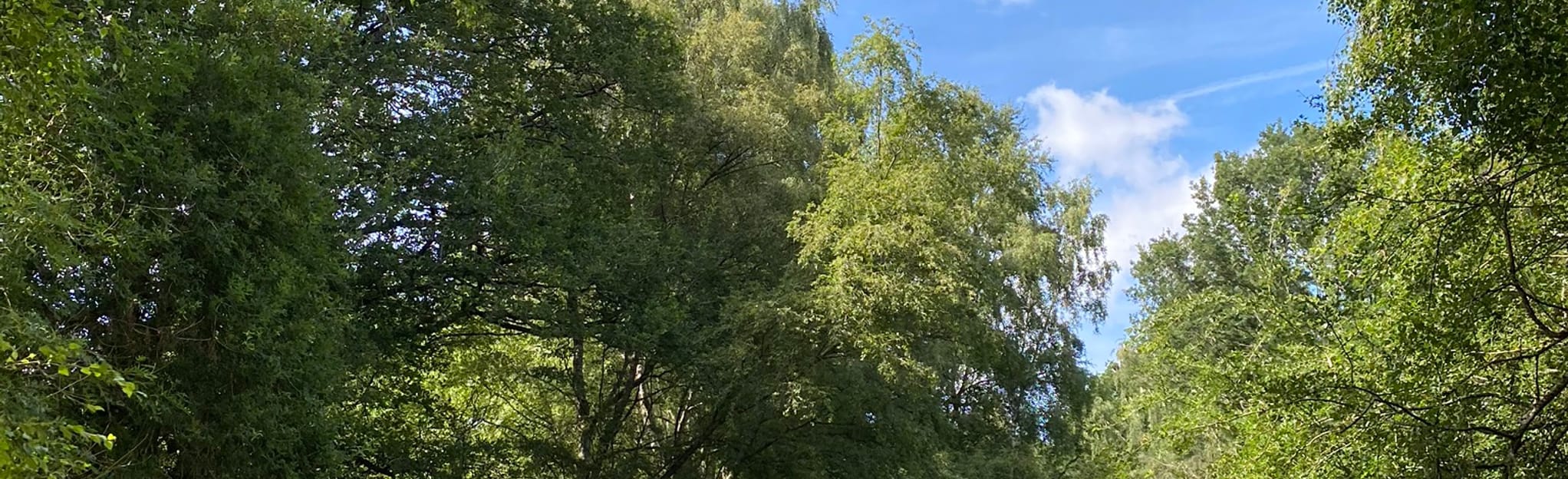 Cold Ash Village and Copses Extended Circular: 82 Reviews, Map ...