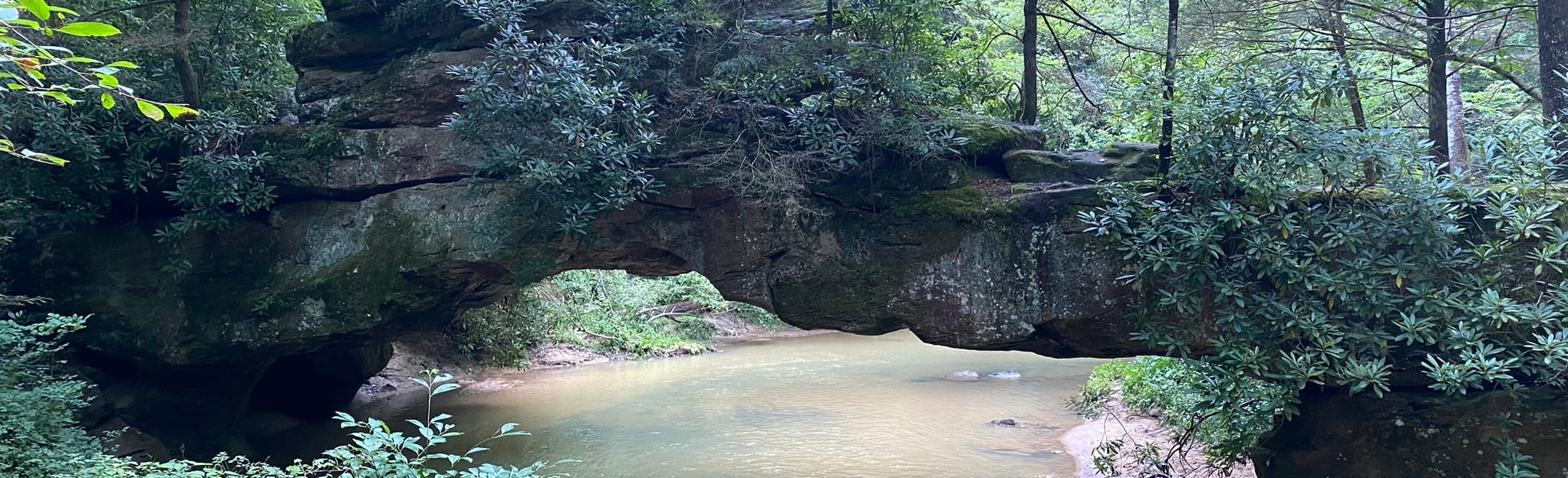 Rock Bridge Trail, Kentucky - 3,075 Reviews, Map | AllTrails