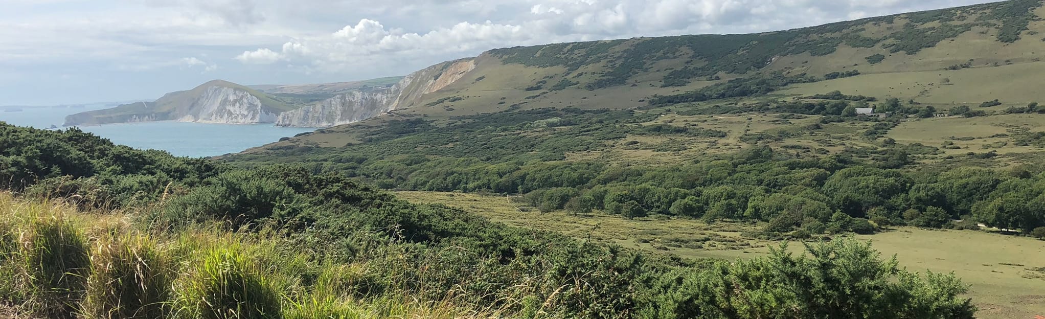 Lulworth to Gad Cliff, Dorset, England - 55 Reviews, Map | AllTrails