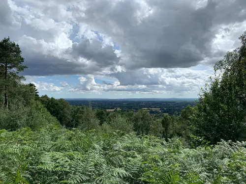 10 Best City Walk Trails in Surrey Hills National Landscape (AONB ...