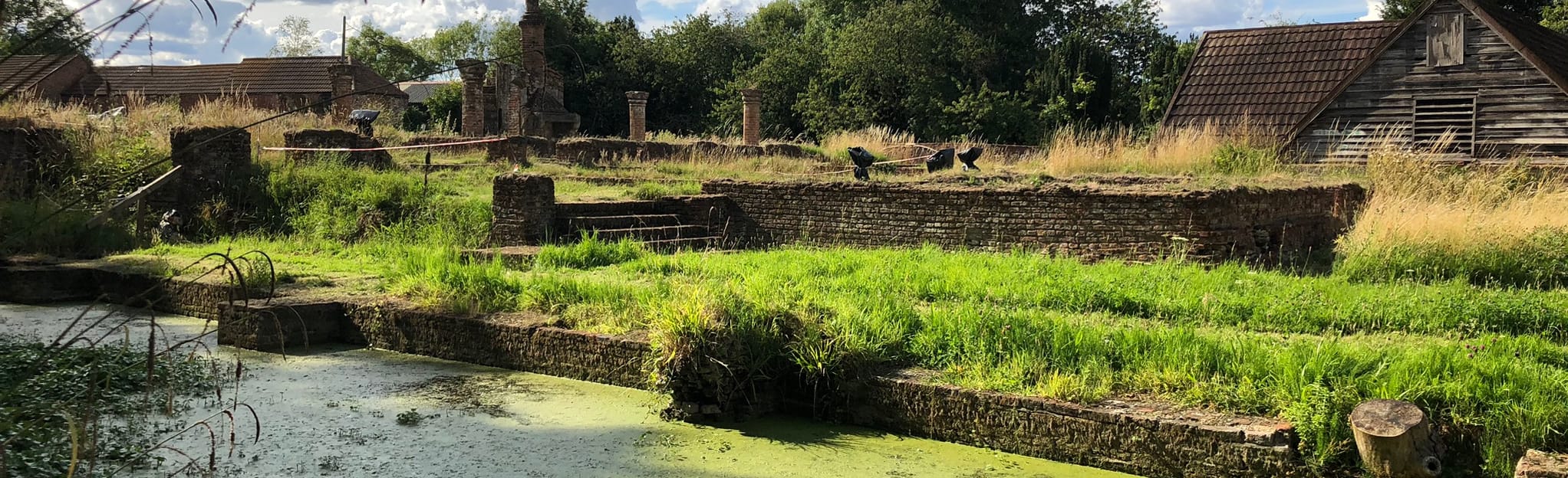 Acorn Trail, London, England - 209 Reviews, Map | AllTrails