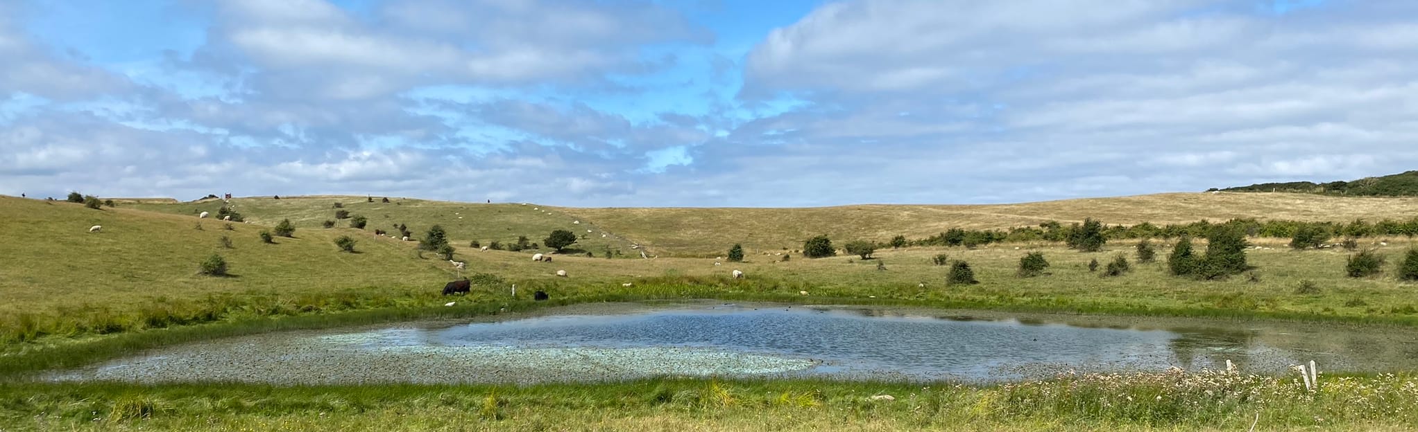 Fyns Hoved: 74 Reviews, Map - Region of Southern Denmark, Denmark ...