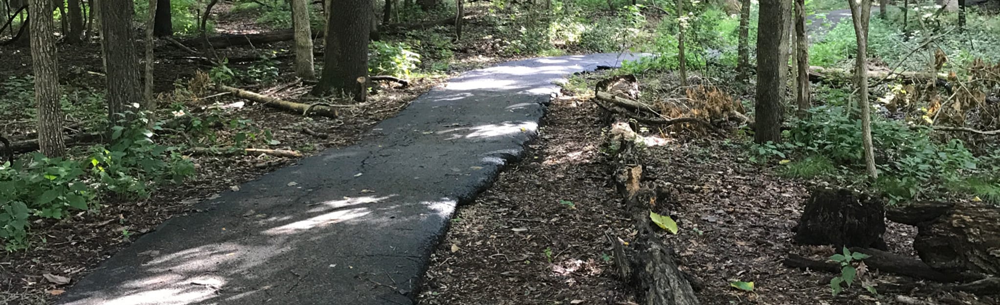 Broken Ridge Loop, Missouri - 217 Reviews, Map | AllTrails