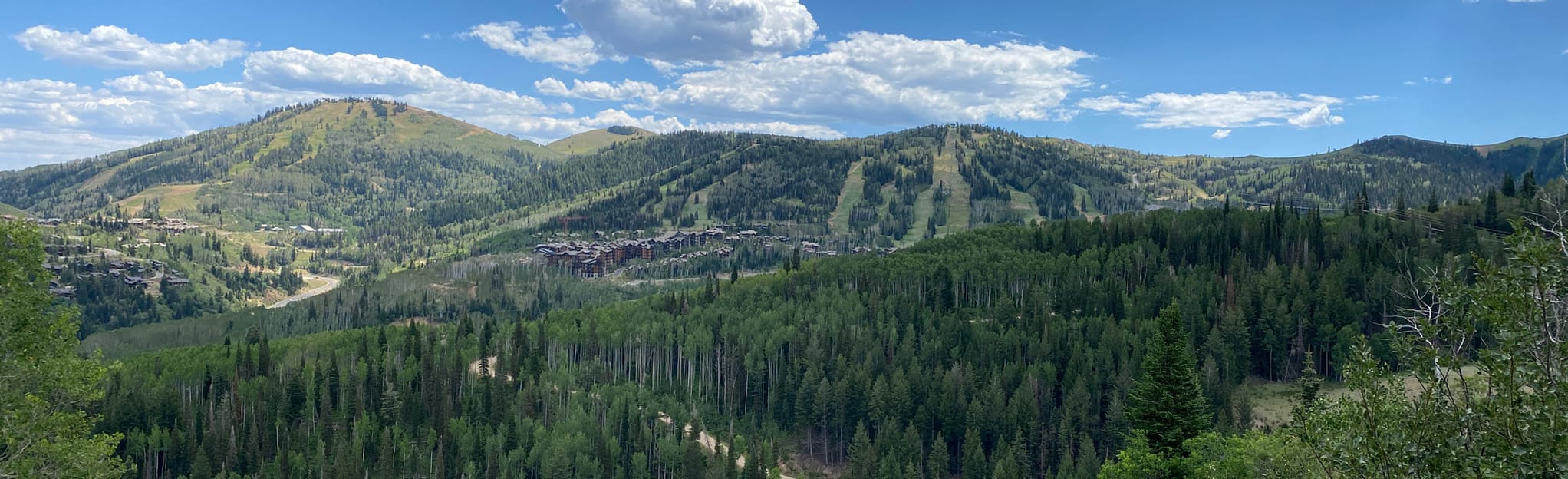 Treasure Hill from Town Lift Base: 503 Reviews, Map - Utah | AllTrails