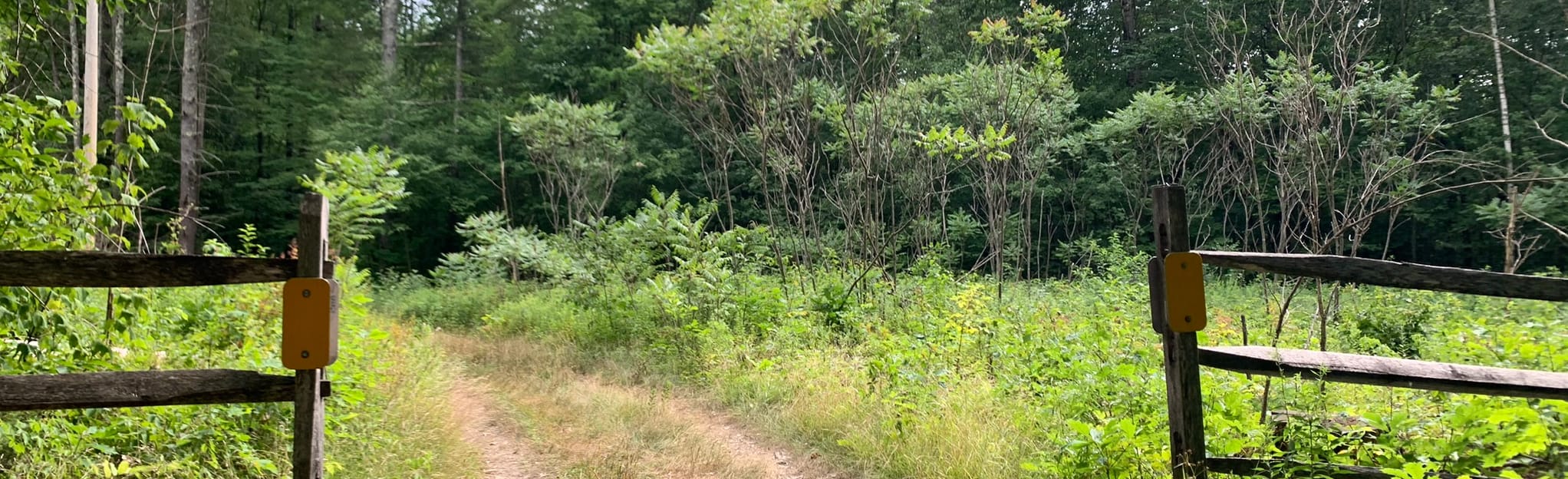 Goshen Dam Trail from Silver Lake Campground, Vermont - Map, Guide ...