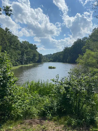 10 Best Walking Trails in Watchung Reservation | AllTrails