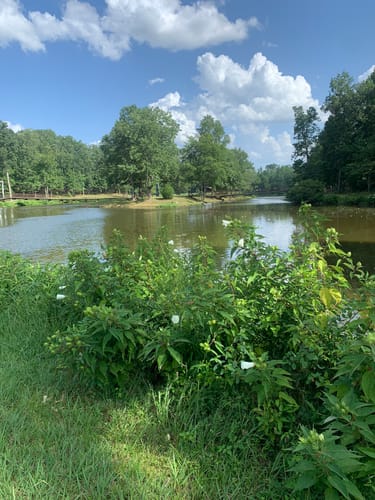 Best Hikes and Trails in Richfield Park | AllTrails