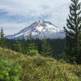 Zigzag Mountain Trail #775, Oregon - 48 Reviews, Map | AllTrails