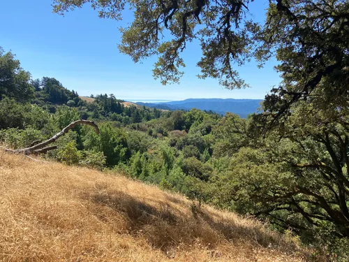 Best Views Trails in Russian Ridge Open Space Preserve | AllTrails