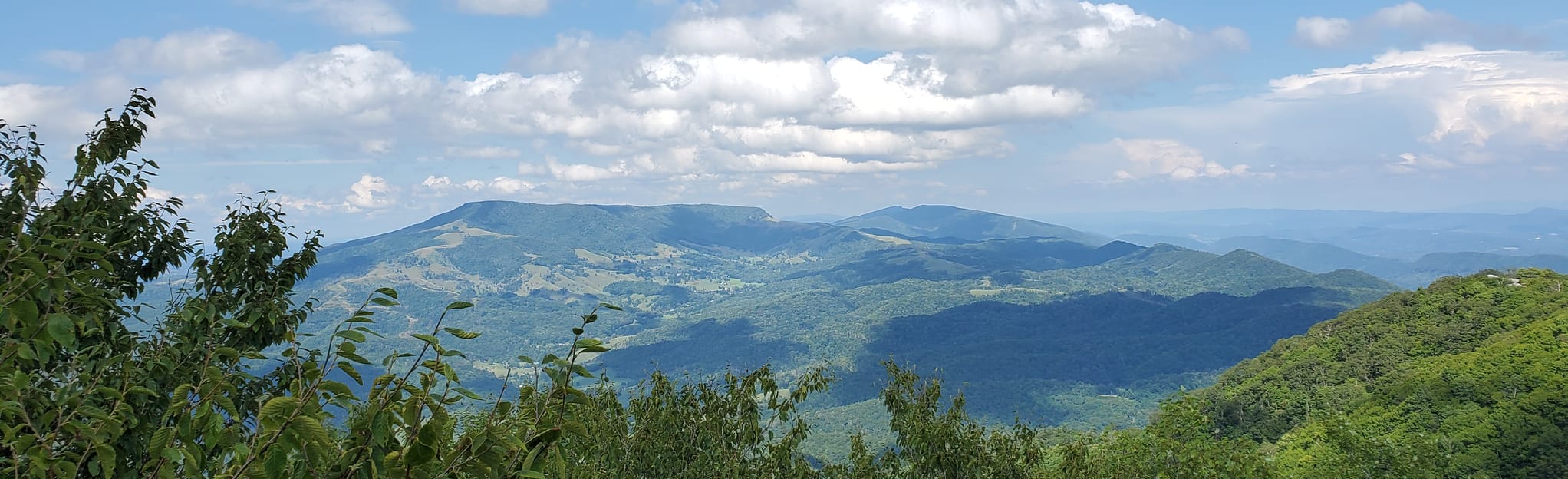 Brumley Mountain Trail Extended: 9 Reviews, Map - Virginia | AllTrails
