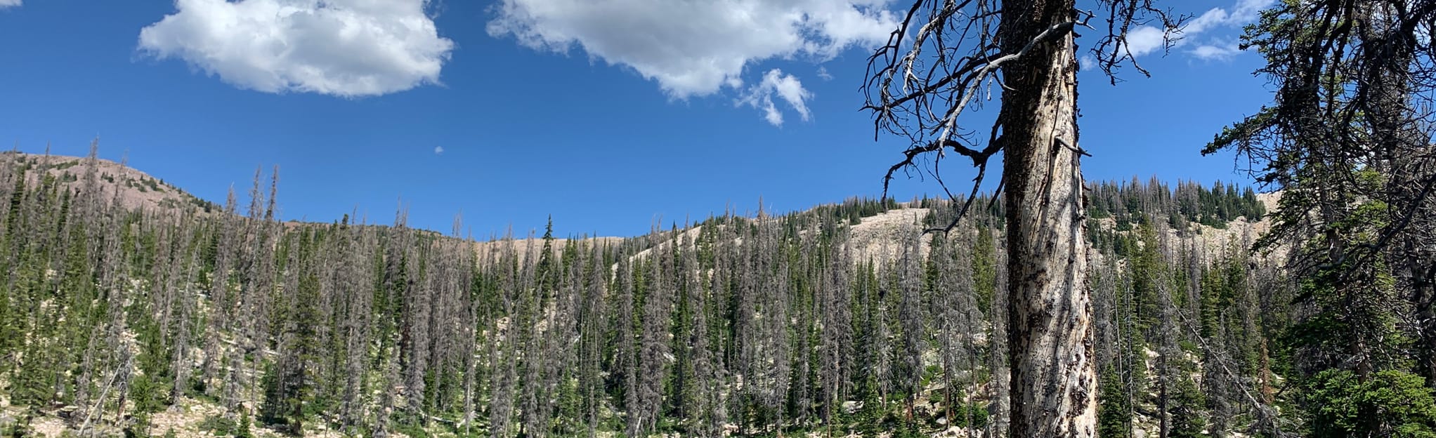 Cuberant Lakes Trail, Utah - 246 Reviews, Map | AllTrails