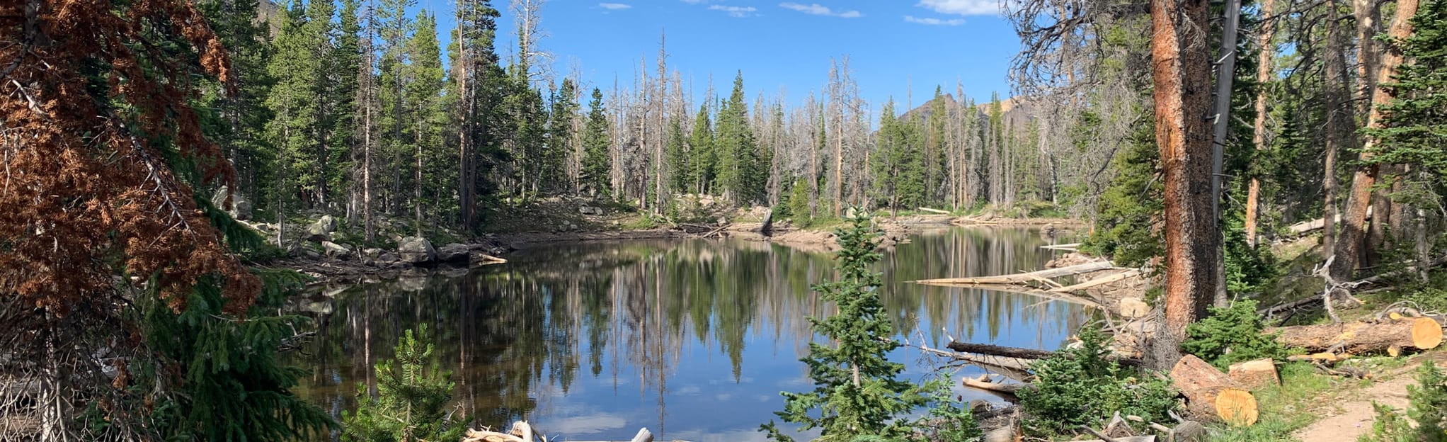 Lofty Lake Loop Trail: 1615 Reviews, Map - Utah | AllTrails