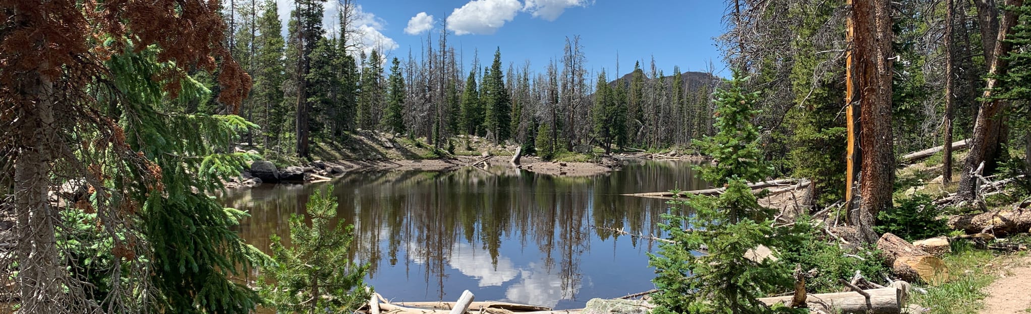 Kamas Lake via Lofty Lake Trail: 99 Reviews, Map - Utah | AllTrails