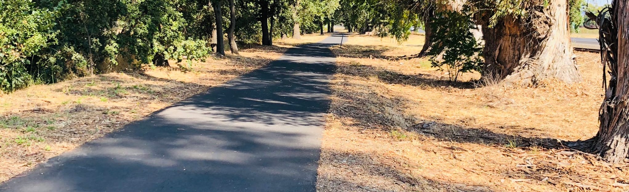 Napa Valley Vine Trail, California - 337 Reviews, Map | AllTrails