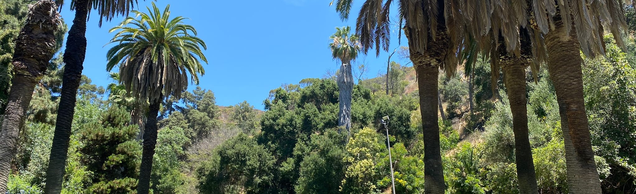 Wattles Mansion and Shrine: 189 foton – California | AllTrails