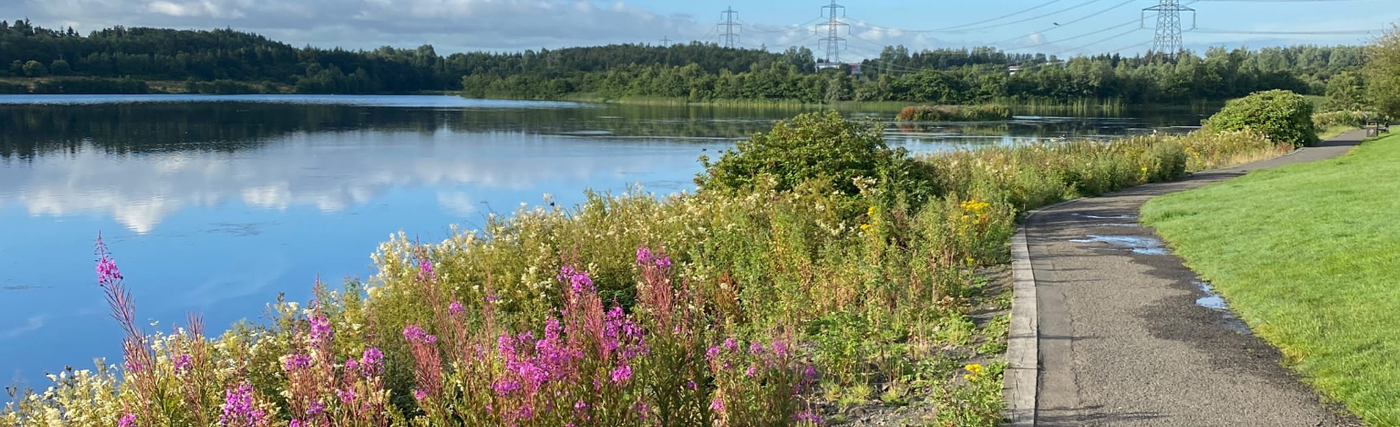 Broadwood Loch Circular, North Lanarkshire, Scotland - 68 Reviews, Map ...