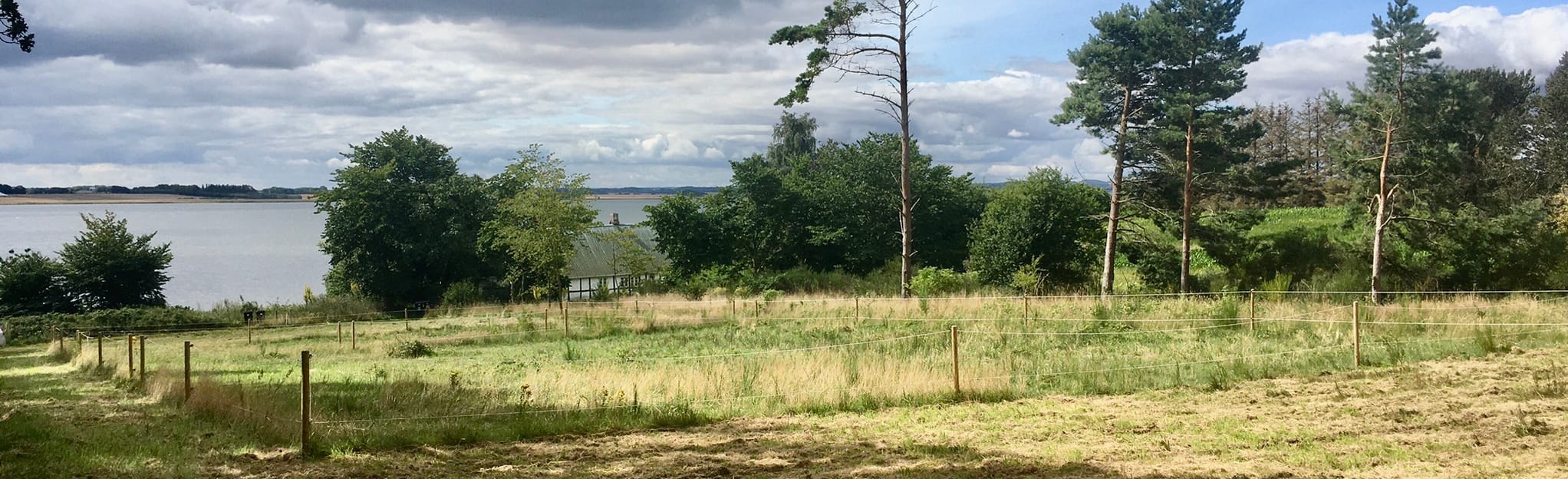 Sondrup Bakker: 43 Reviews, Map - Central Denmark, Denmark | AllTrails