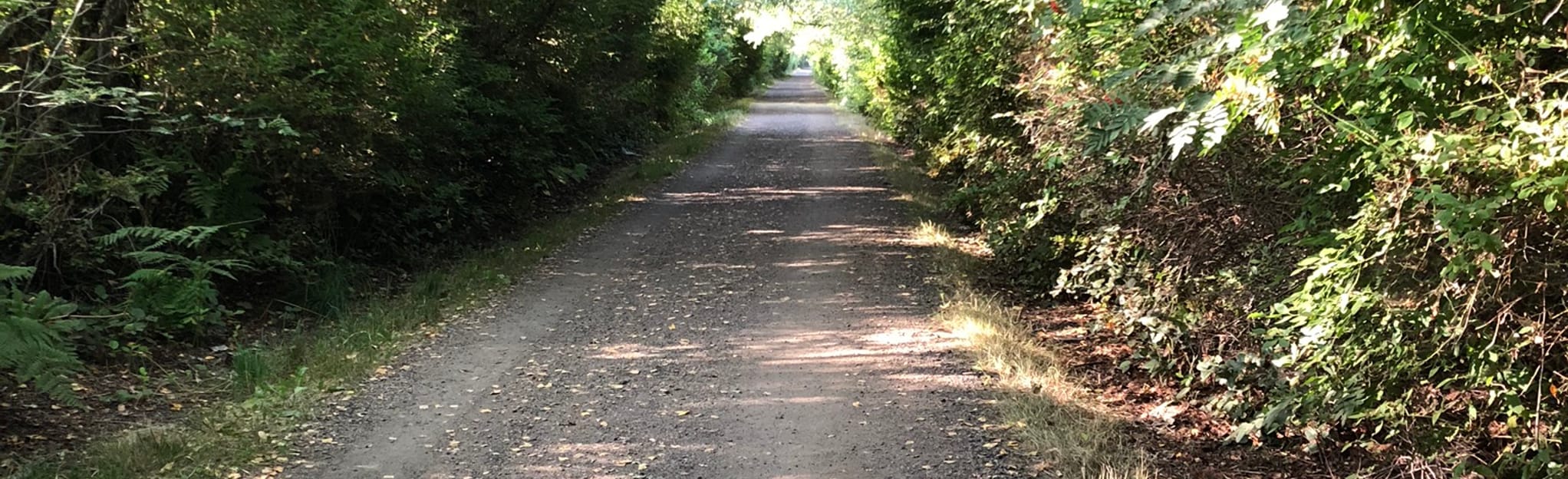 Shell Road Trail , 11 Photos - British Columbia, Canada | AllTrails