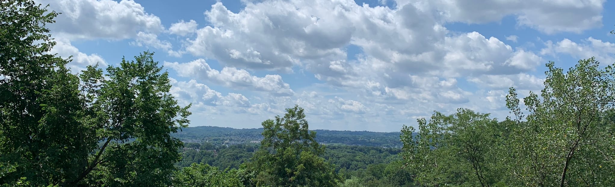 AllTrails | Frick Park Riverview Trail: 279 Reviews, Map - Pennsylvania