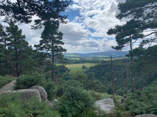 2023 Best Walking Trails in Carrickgollogan Wood | AllTrails