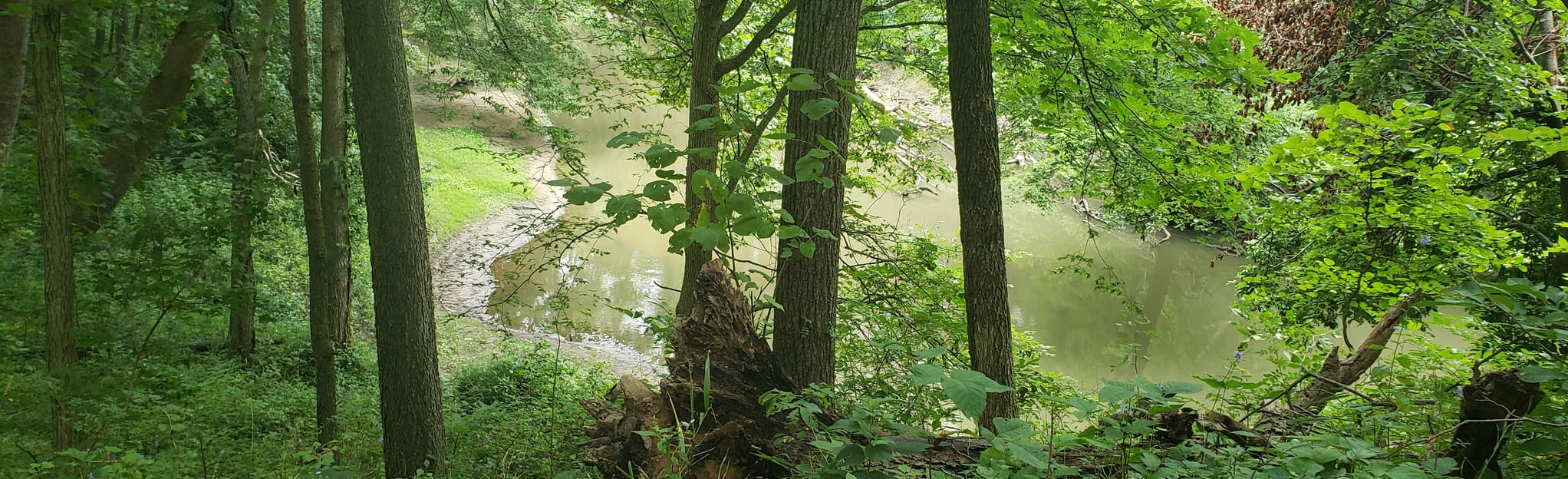 Chesnut-Beason Park Loop, Illinois - 6 Reviews, Map | AllTrails