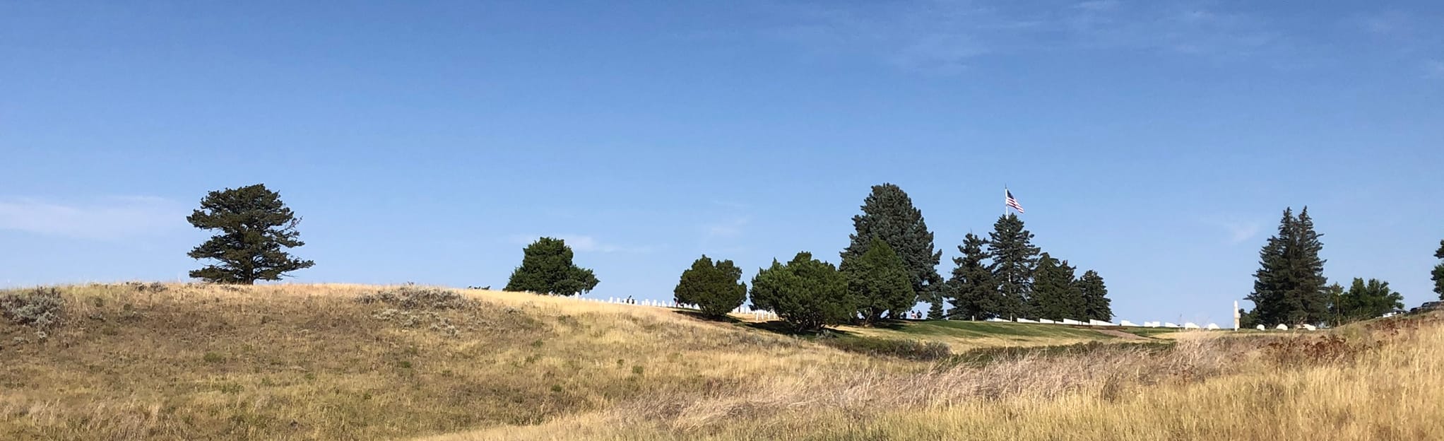 Deep Ravine Trail: 119 Reviews, Map - Montana | AllTrails