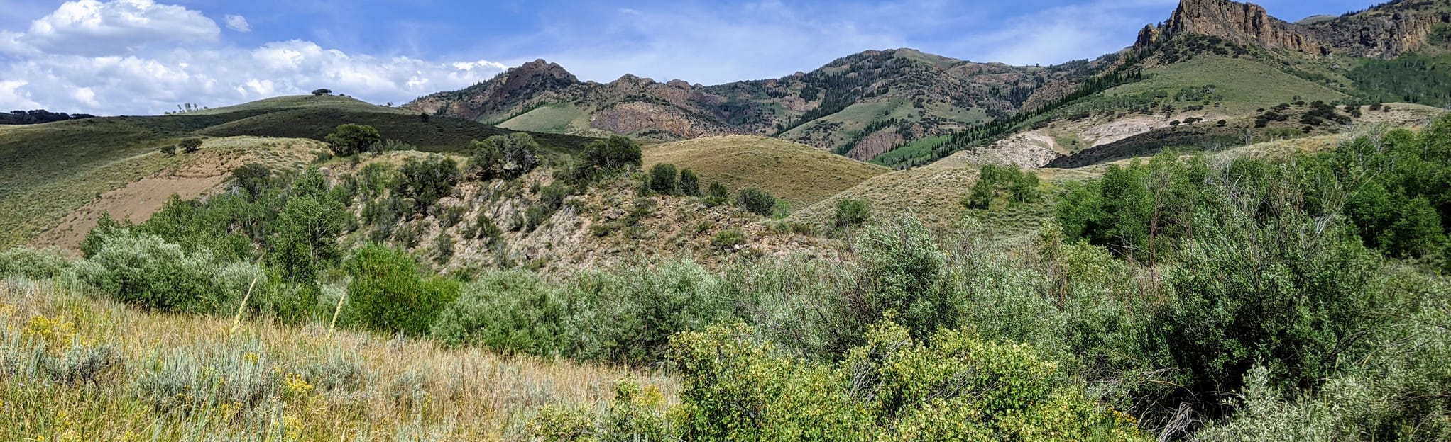 Mary's River Basin, Nevada - 2 Reviews, Map | AllTrails