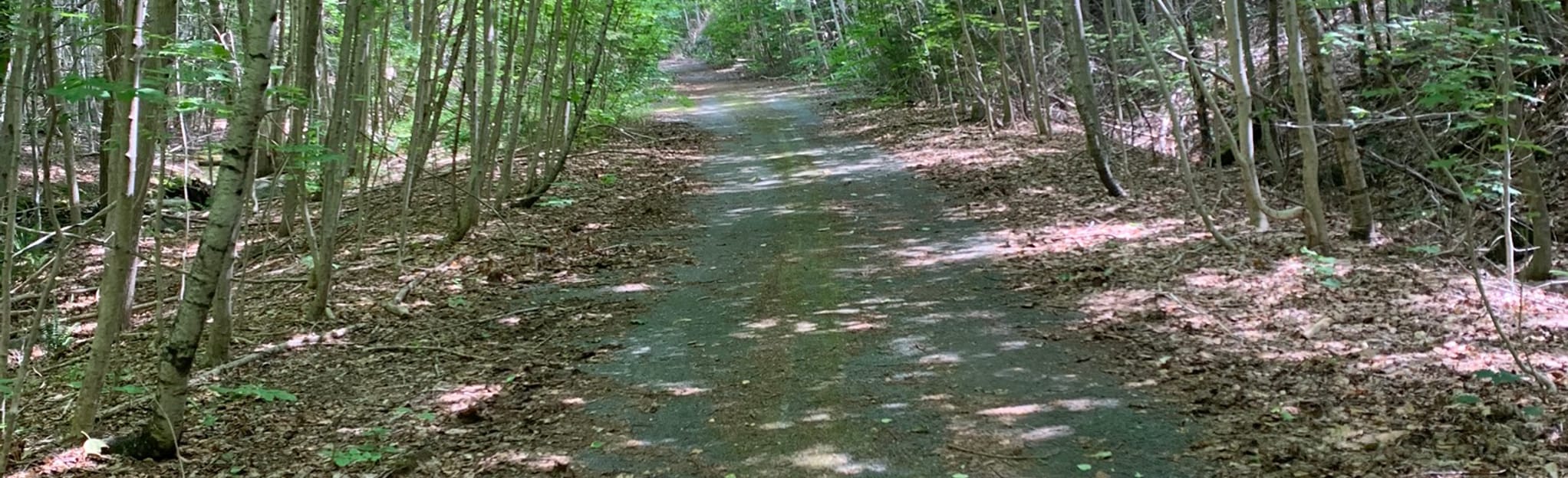 Caanan Mountain Road: 7 Reviews, Map - Nova Scotia, Canada | AllTrails