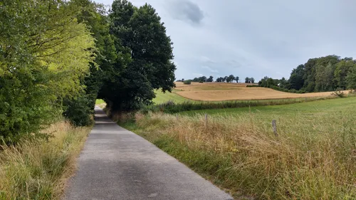 De 10 beste wandelroutes om te wandelen in Houffalize | AllTrails