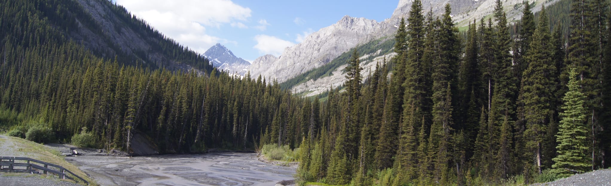 Mount French, Alberta, Canada - 17 Reviews, Map | AllTrails