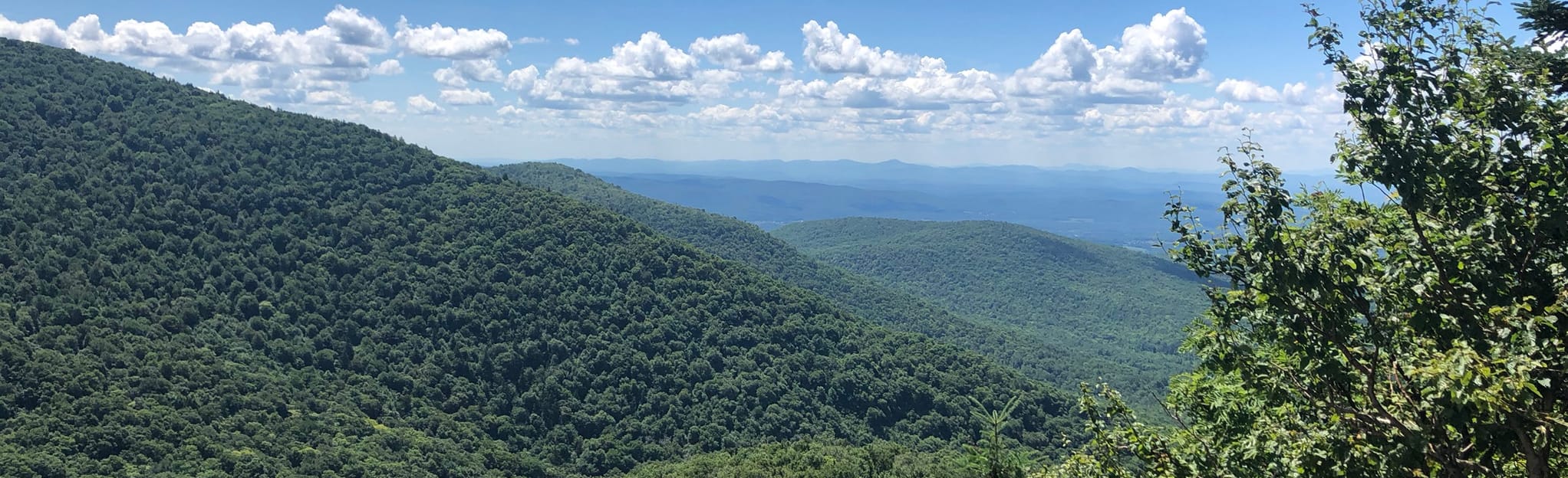 Great Cliff via Long Trail: 183 Reviews, Map - Vermont | AllTrails